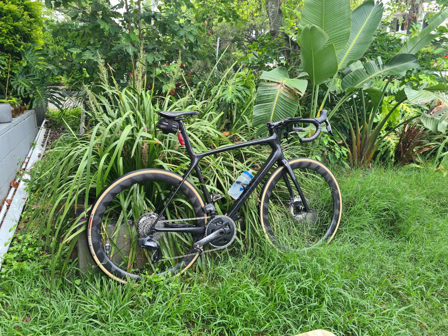 AR46 Disc Review: Braided UD Wheels On Giant Advanced